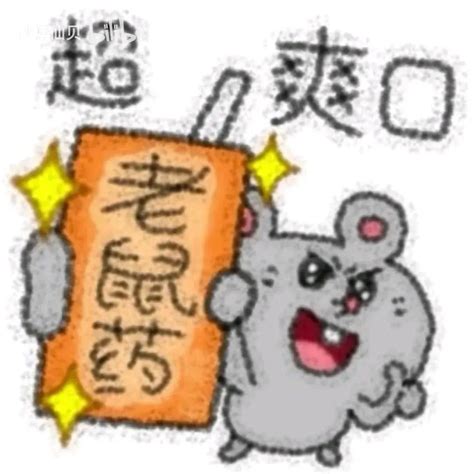 超爽！灰老鼠举着 老鼠药”牌子的搞怪可爱表情包 疯狂老鼠动态表情包合集·动图表情包图片动图 求表情网斗图从此不求人