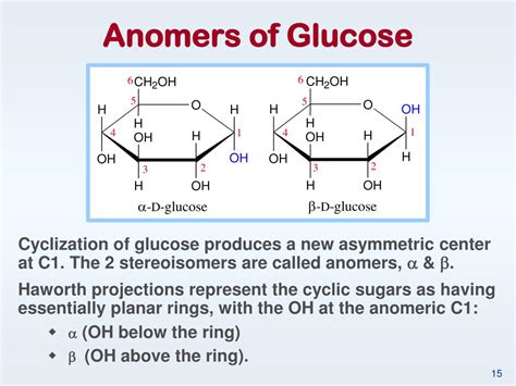 Ppt Carbohydrates Powerpoint Presentation Free Download Id5871301