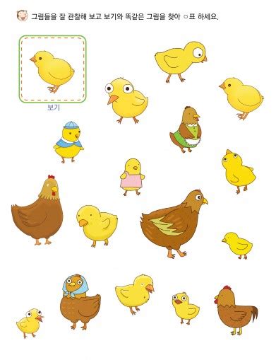 똑같은 병아리 찾기 같은 그림 찾기 All Can I 우리 아이 전용도서관