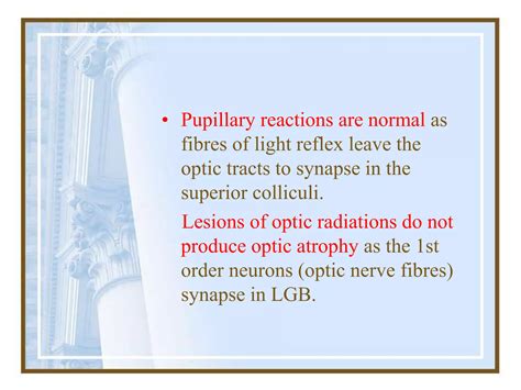 Optic Nerve And Visual Pathway Pptx Optic Nerve And Visual Pathway Pptx