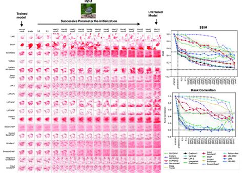 Evolution Of Several Model Attributions For Successive Weights Download Scientific Diagram