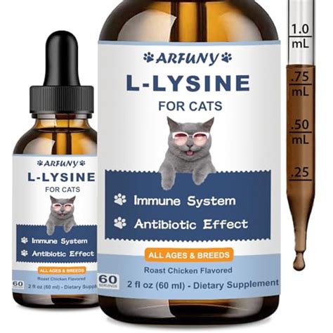 Best Lysine Paste For Cats Top Immune Support Supplements Artemis