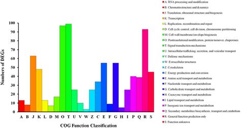 Cog Function Classification Of Degs Download Scientific Diagram