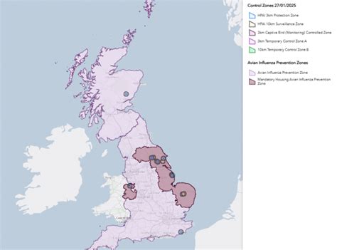 Advice Avian Bird Flu Cases Continue Across The Uk And Latest Advice