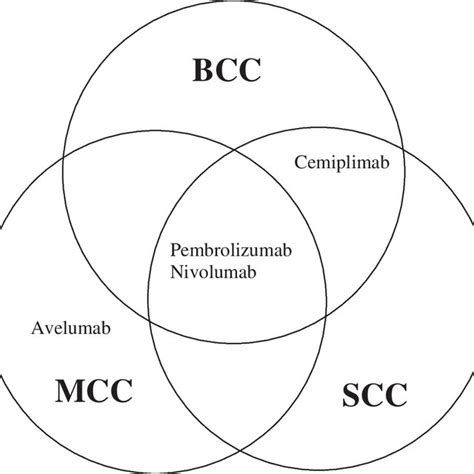 Of Immunotherapy With Anti Tumor Activity In Nmsc Download Scientific