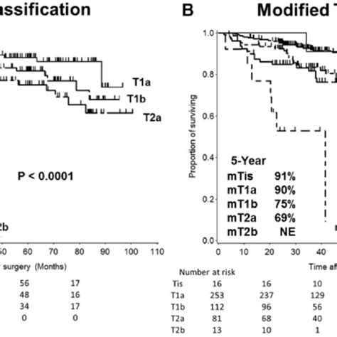 Overall Survival Based On The Current T Classification A And Modified