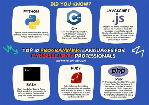 Top 10 Programming Languages For Cybersecurity Professionals In 2024