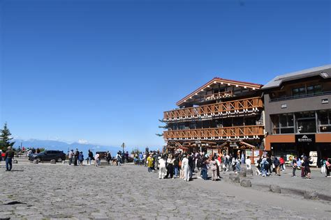 富士スバルライン五合目～ ”お馬でパカパカ♪富士山5合目からプチ登山♪” わんダフル4姉妹犬とモンローママの楽しい毎日