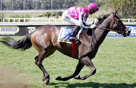 Gr2 Tony Taberer Southern Cross Stakes Preview Sporting Post