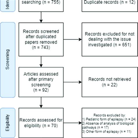 flow chart diagram visualizing the database searches number of