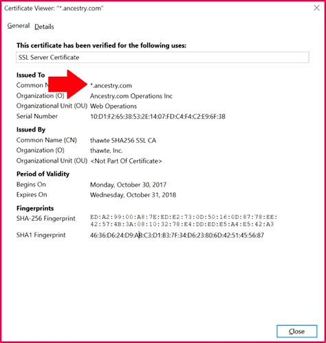 3 Web Server Certificate Template 2 Years 17127 Fabtemplatez