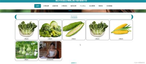 java计算机毕业设计海东市乐都区沙果线上线下销售管理平台（附源码、数据库） 线下销售平台 csdn博客