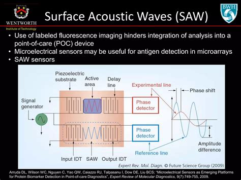 Surface Acoustic Wave Sensor For Protein Detection Pptx