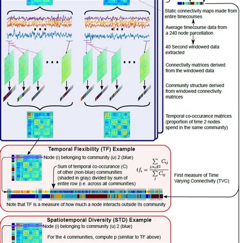 Time Varying Connectivity Analysis Pipeline Download Scientific Diagram