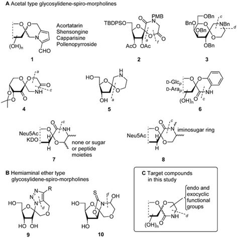 Glycopyranosylidene Spiro Morpholinones Evaluation Of The Synthetic