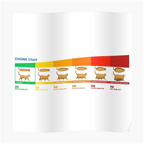 Chonk Chart Cat Meme Poster For Sale By Merch On Redbubble