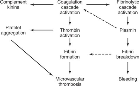 Disseminated Intravascular Coagulation Calgaryguide Hemorrhagic