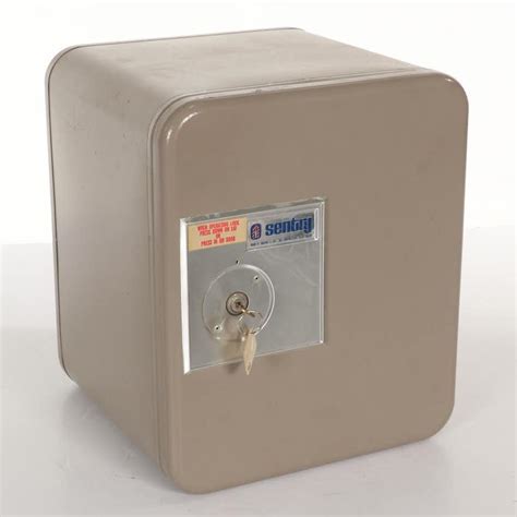 Small Sentry Safe Ebth