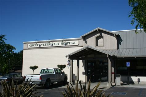 Orcuttvetcom
