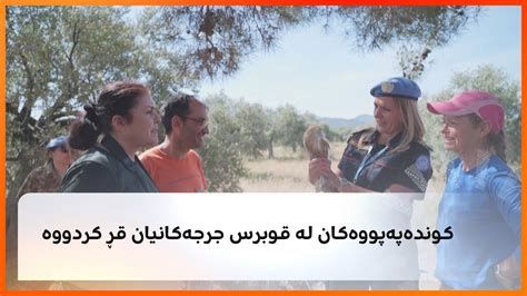 پاراستنی دەخڵودان گەنم و جۆ بە کوندەپەپوو لەجیاتی رشتنی مادەی ژەهراوی