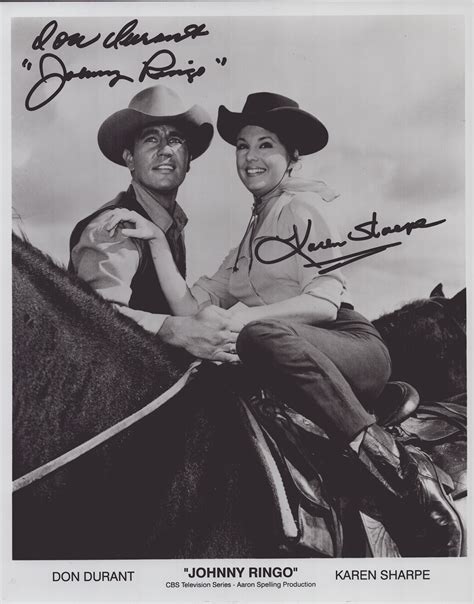Johnny Ringo Tv Series