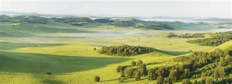 Grassland Definition Animals Plants Climate And Facts Britannica