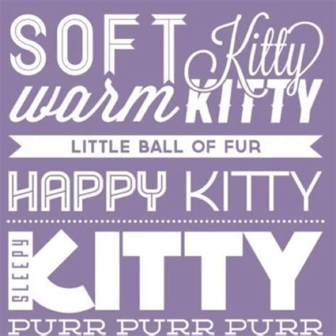 Soft Kitty Big Bang Theory Sheldon Big Bang Theory Big Bang Theory