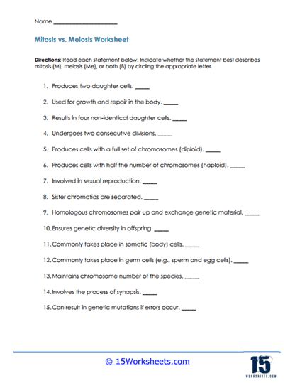 Mitosis And Meiosis Worksheets Worksheets Library