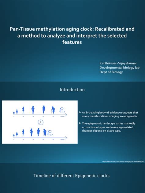 Pan Tissue Methylation Aging Clock Recalibrated And A Method To Analyze And Interpret The