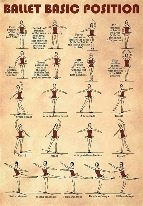 Ballet Steps And Positions