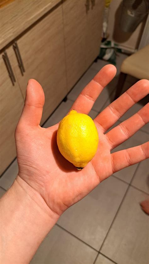 Small Lemon Rnotinteresting
