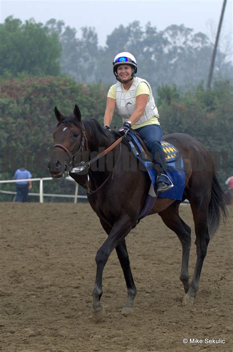 Declassify Thoroughbred Racing Dudes