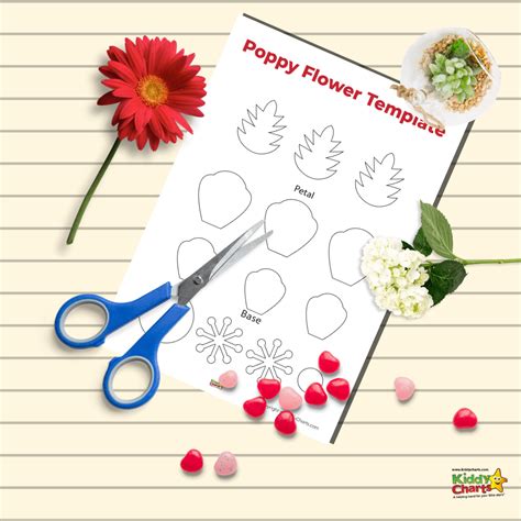 Poppy Petal Flower Pattern Printable Paper Poppy Craft