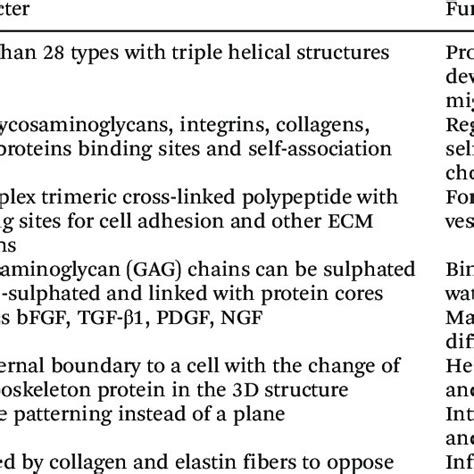 Stem Cell Microenvironment And Internal Interactions Download Scientific Diagram