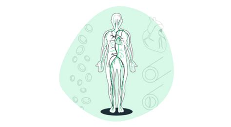 What Is Bioavailability Mitrutrade Health And Care