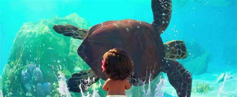 Moana Turtle Name