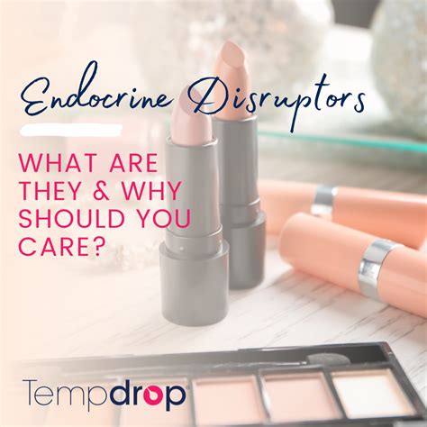 Understanding Endocrine Disruptors