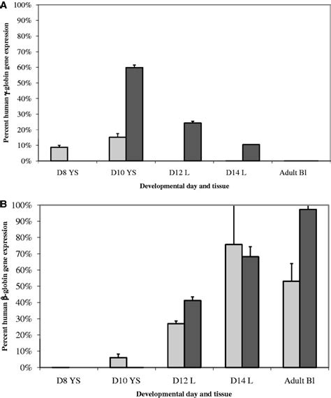 Human β Like Globin Gene Expression During Embryonic And Definitive