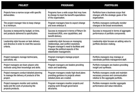 Comparative Overview Of Project Program And Portfolio Management