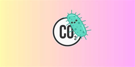 Carbon Capturing Microbes Basics By Garvit Sahdev