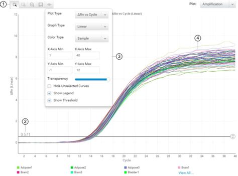 Amplification Plot