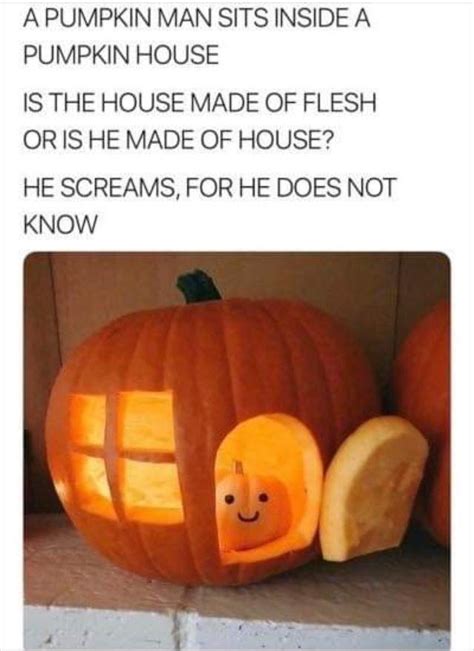 The Best Pumpkin Memes Memedroid