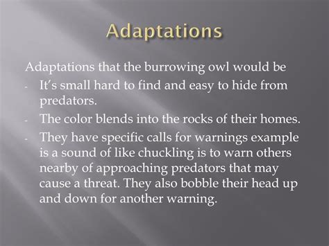 Ppt Burrowing Owl Powerpoint Presentation Free Download Id2670228