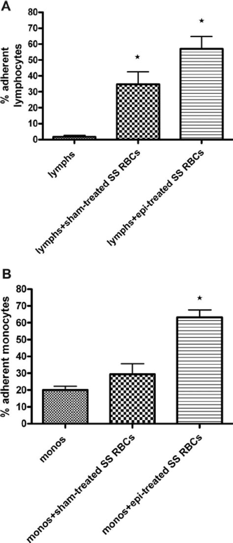 Ss Rbcs Induce Increased Adhesion Of Both Lymphocytes And Monocytes To