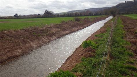 River Avill Project Wild Trout Trust