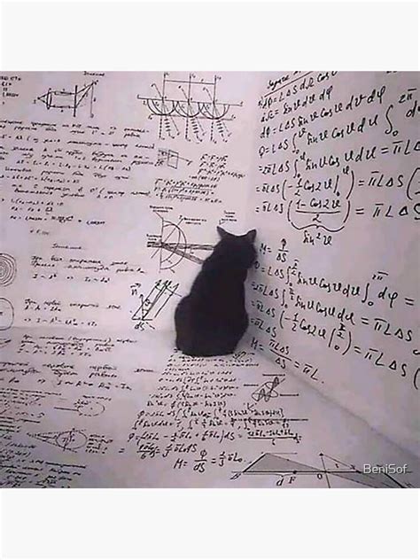 Feline Equation Black Cat Delving Into Math Sticker For Sale By