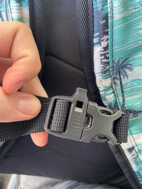 My Sons Backpack Has A Whistle R Mildlyinteresting