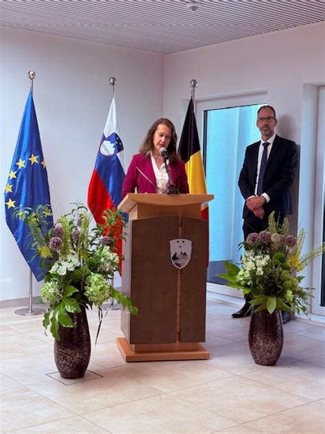 🇸🇮 Praznovanje Dneva Državnosti Republike Slovenije V Bruslju 🇸🇮 V