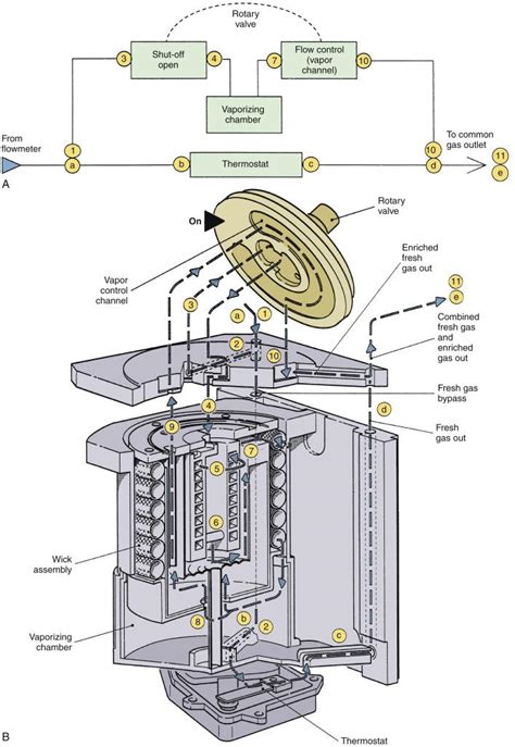 Anesthesia Vaporizers Clinical Tree