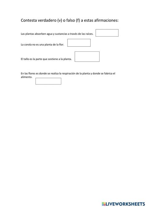 Partes De La Flor Free Exercise Live Worksheets
